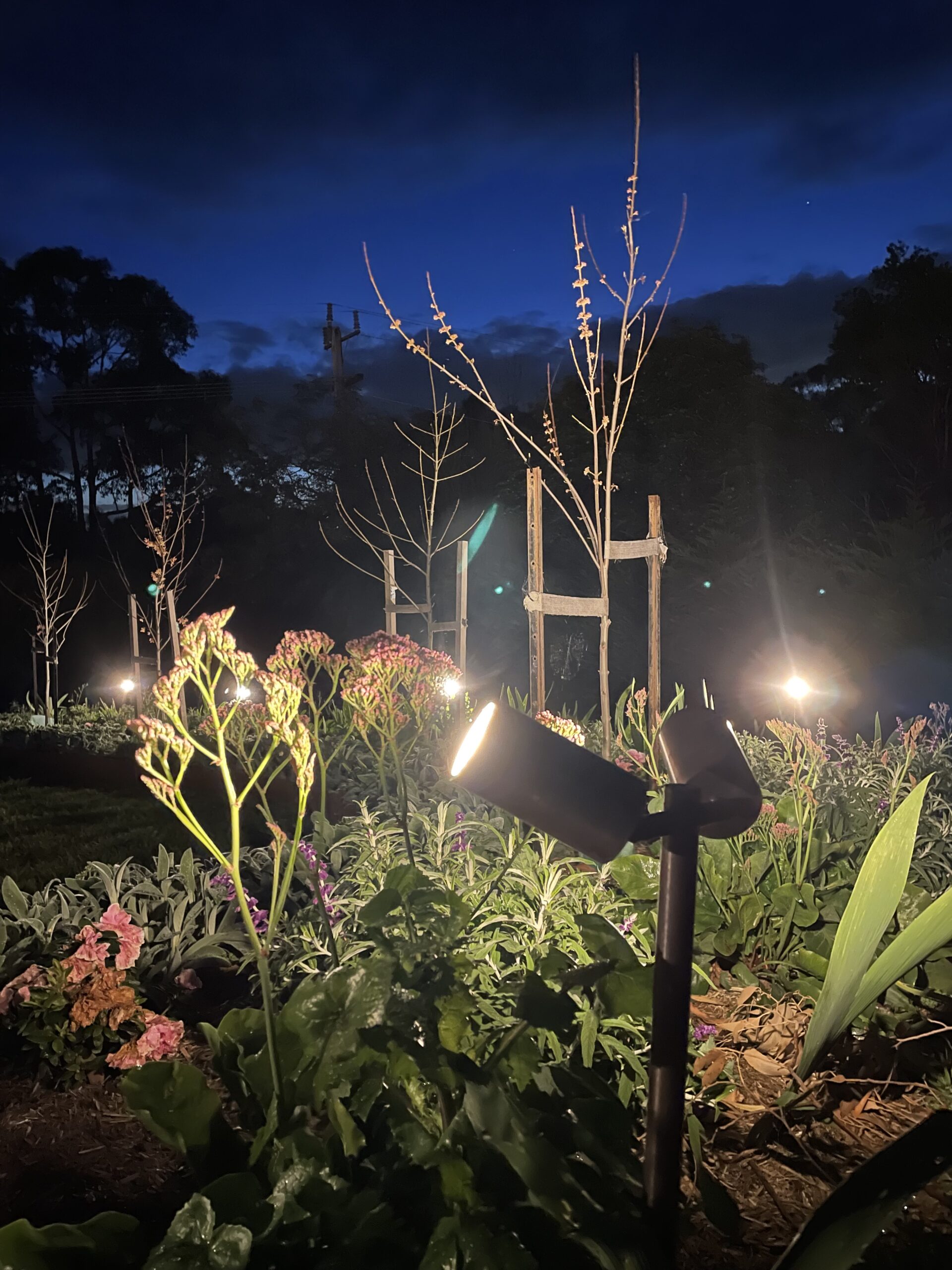 Outdoor Entertainment & Electrical Services | Wired by MJD ...